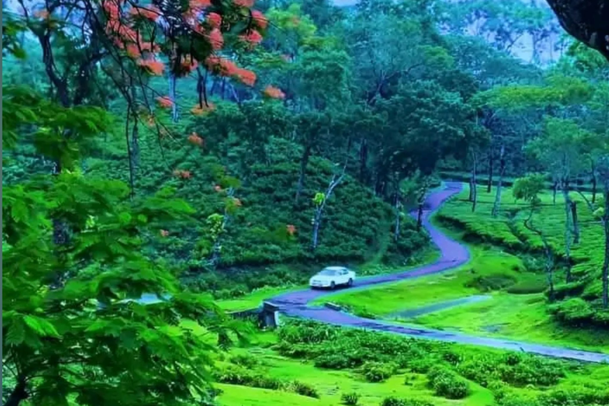 7 Refreshing Spots in Sreemangal to Visit this Summer.